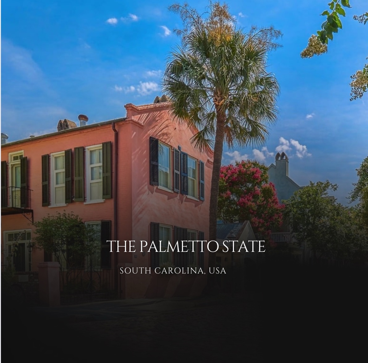 Explore The Palmetto State – The Palmetto Directory
